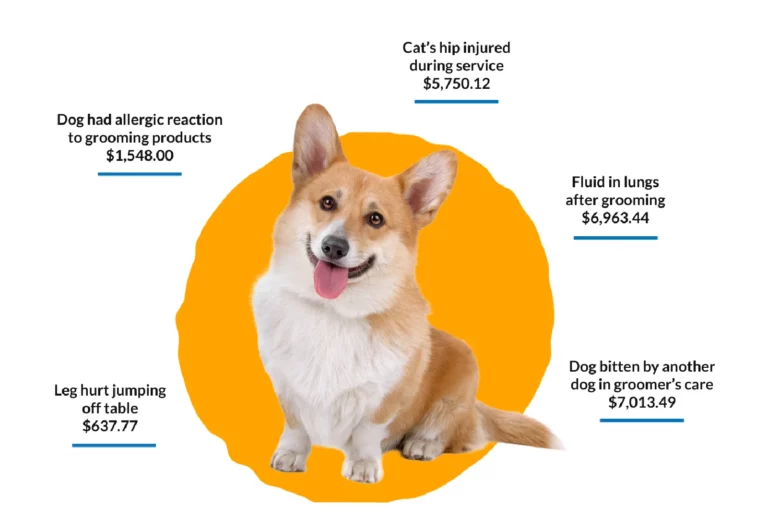 Pet & Dog Grooming Insurance | PCI